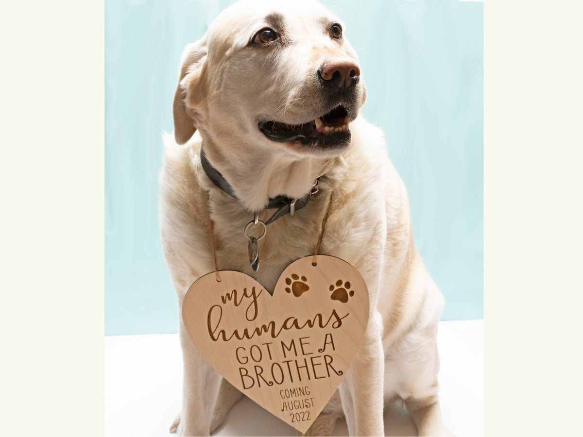 Personalized "My Humans" Dog Sign | Wood Heart Sign | Wedding, Pregnan ...